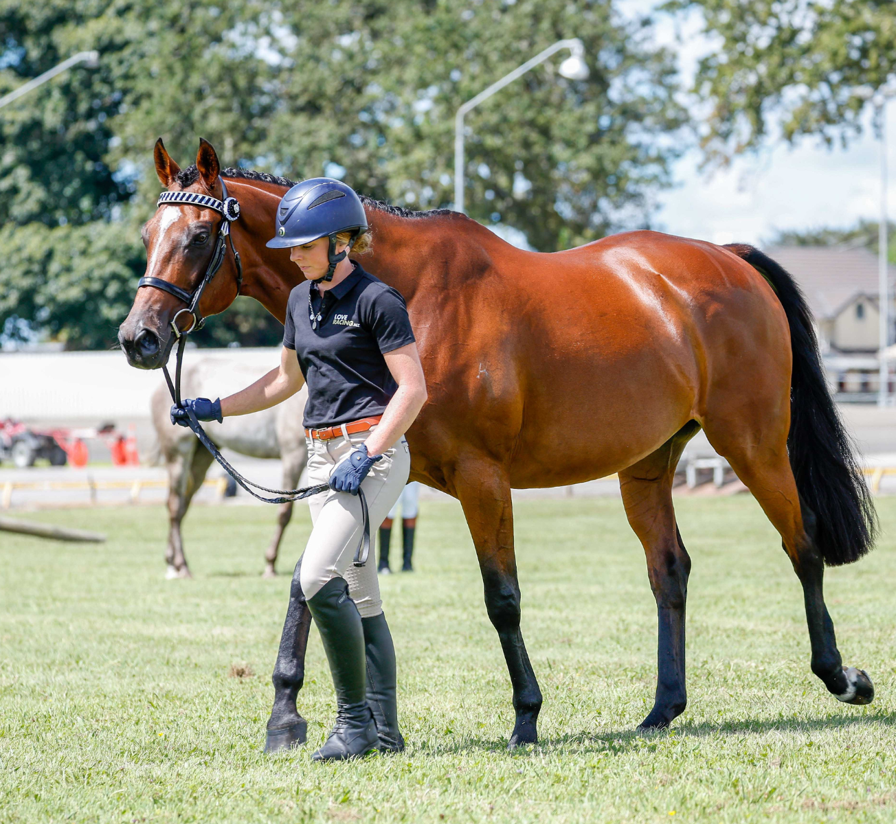 Population Traceability - NZTR